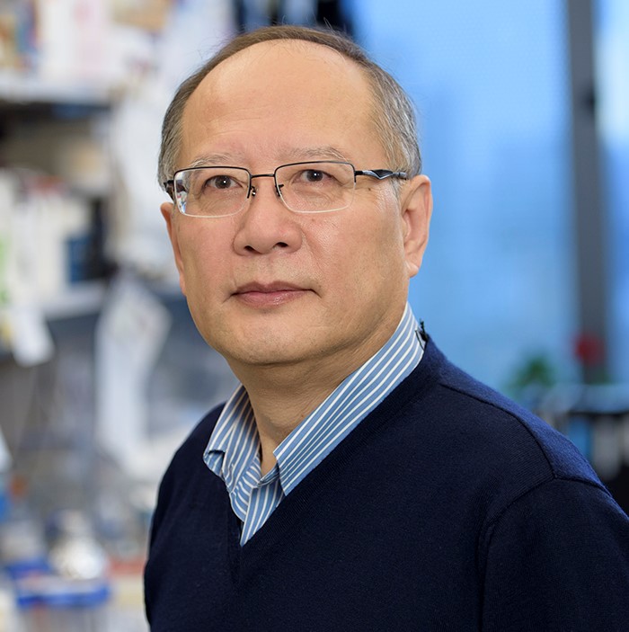 Ying-Xian Pan - Rutgers Addiction Research Center (RARC)